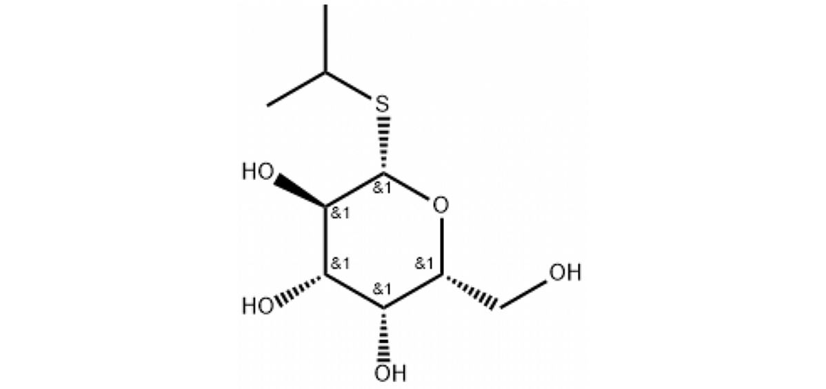 IPTG Isopropyl-β-D-thiogalactopyranoside