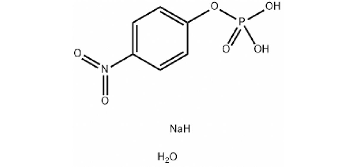 PNPP Disodium 4-Nitrophenyl Phosphate Hexahydrate